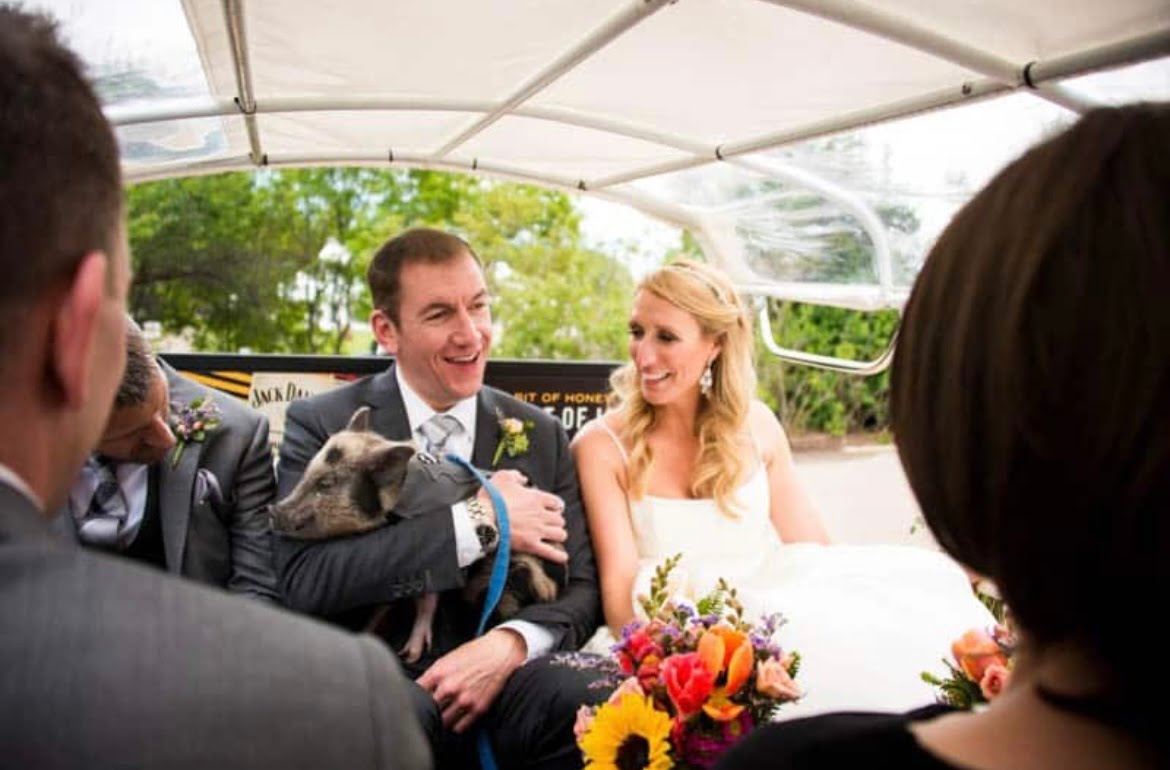 Weddings | Tree Family Party Piggies