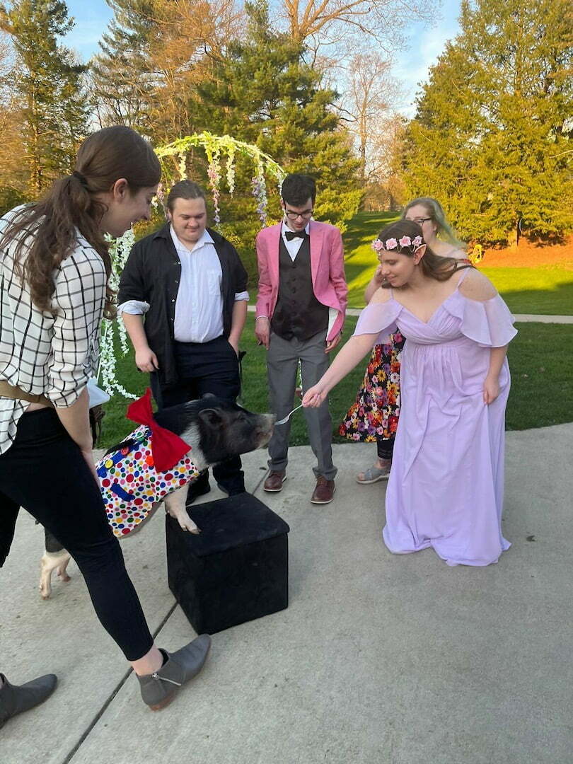 Private Parties | Tree Family Party Piggies